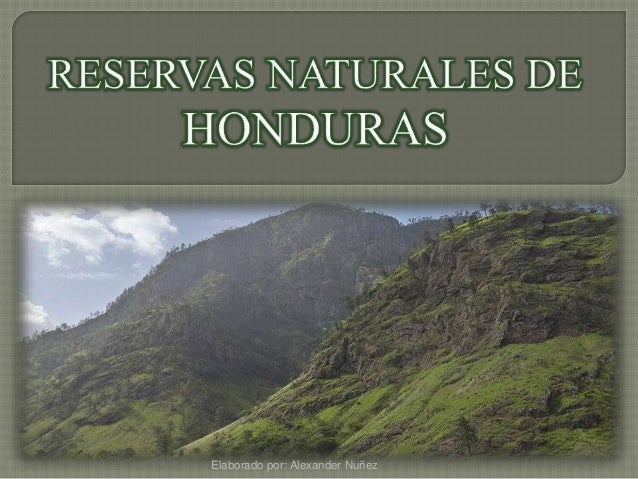 Parque Nacional De Honduras Nombres – LOCKL