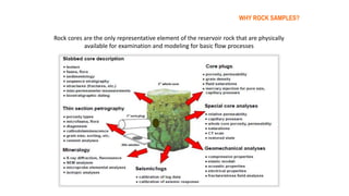 Reservoir rock samples | PPTX | Geology | Science
