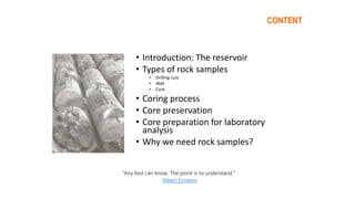 Reservoir rock samples | PPTX | Geology | Science