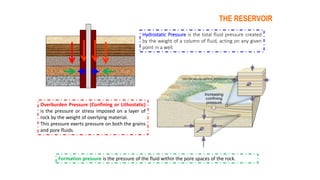 Reservoir rock samples | PPTX | Geology | Science