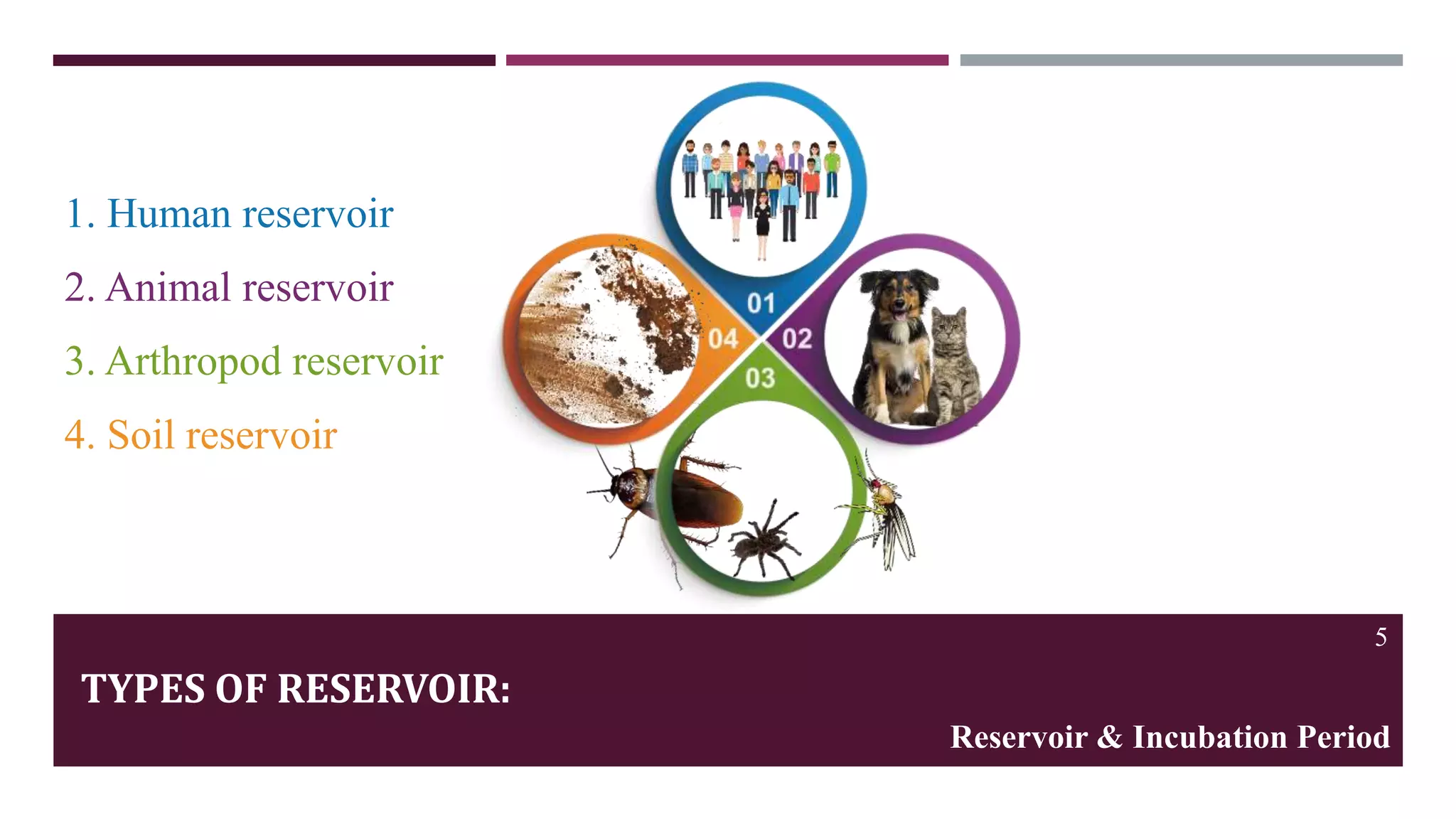 epidemiology reservoir & incubation period | PPTX