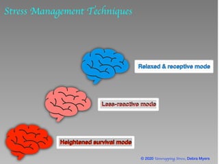Reset Your Stress, Release Your Tension | PPT
