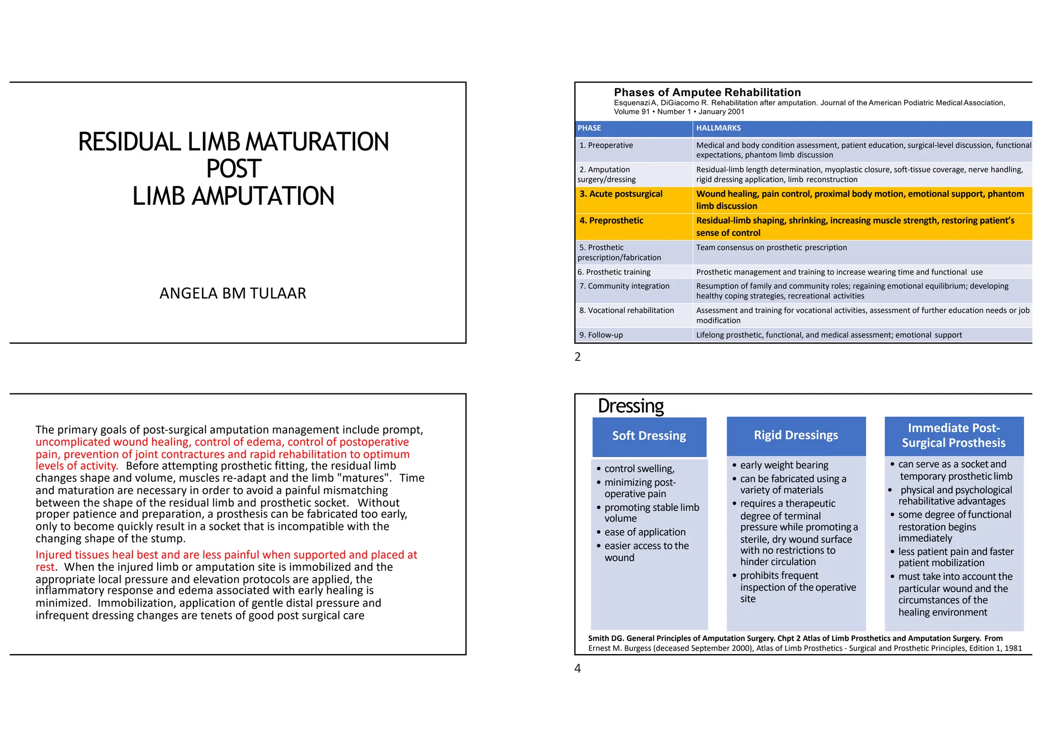Residual Limb Maturation After Limb Amputation-converted (1).pdf