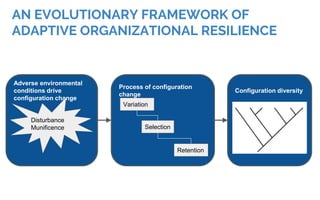 An evolutionary approach to understanding adaptive organizational ...