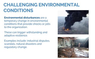 An evolutionary approach to understanding adaptive organizational ...