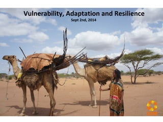 Vulnerability, Adaptation and Resilience | PPT | Environment | Science