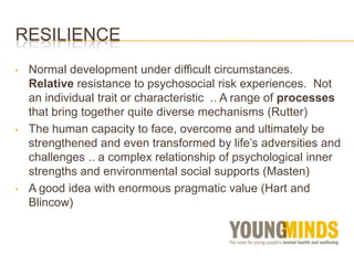 Resilience in Looked After Young People | PPTX