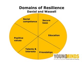 Resilience in Looked After Young People | PPT