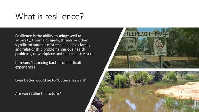 Resilience presentation v3.17