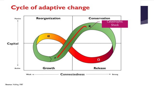 Resilient and adaptive schools | PPTX