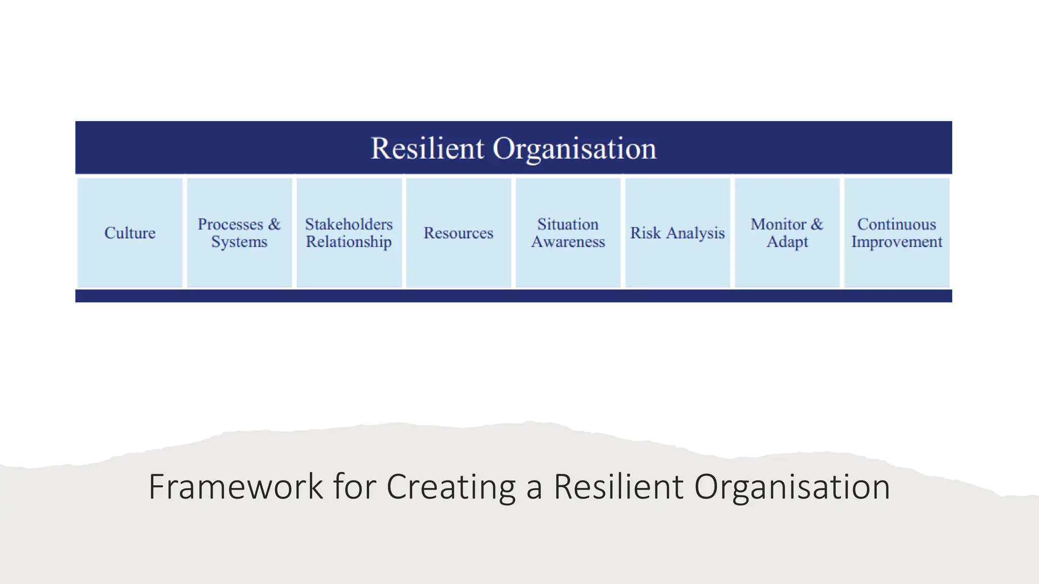 resilince strategy.pdf