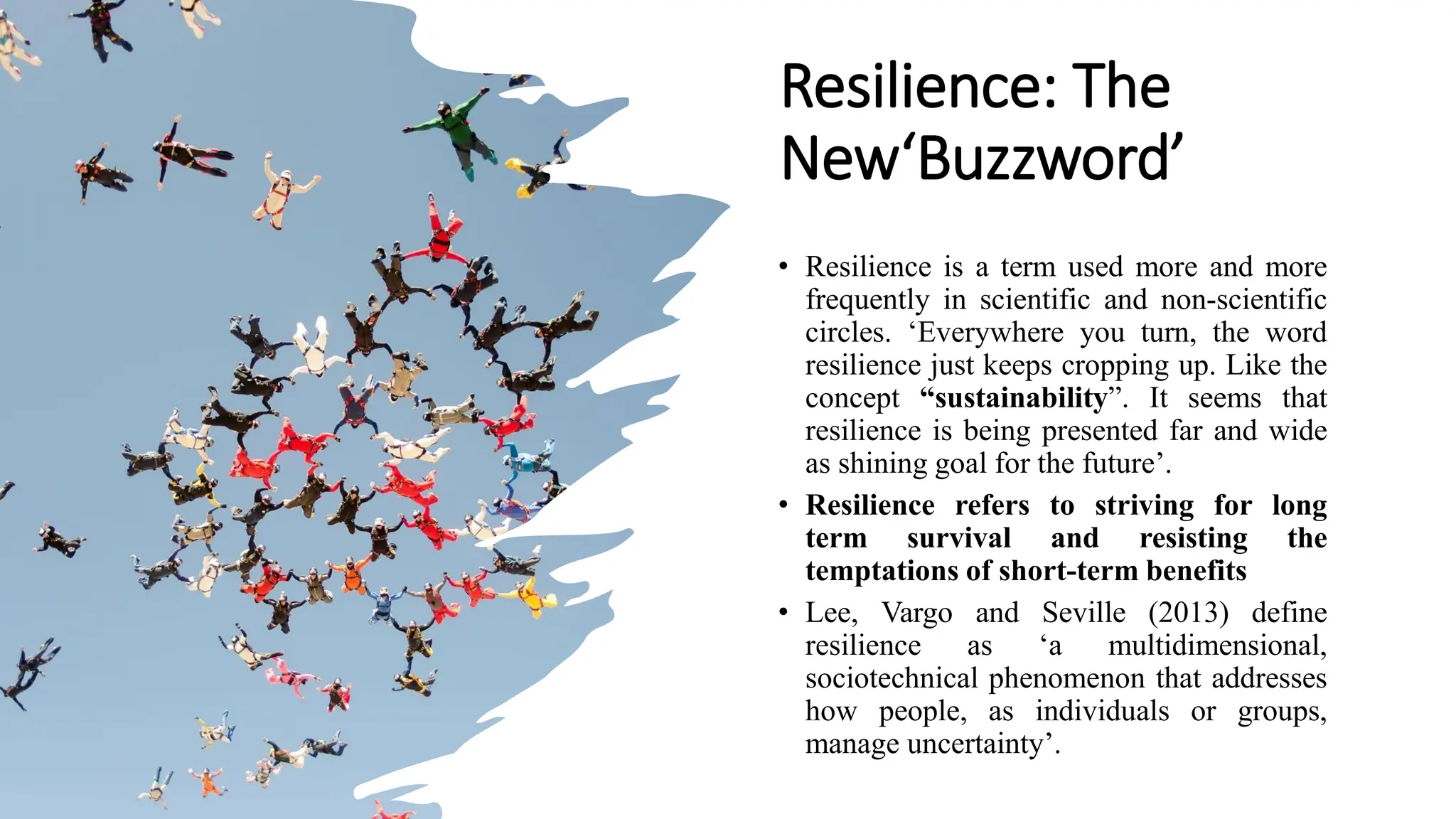 resilince strategy.pdf