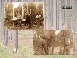 Resina de pinus slides | PPTX