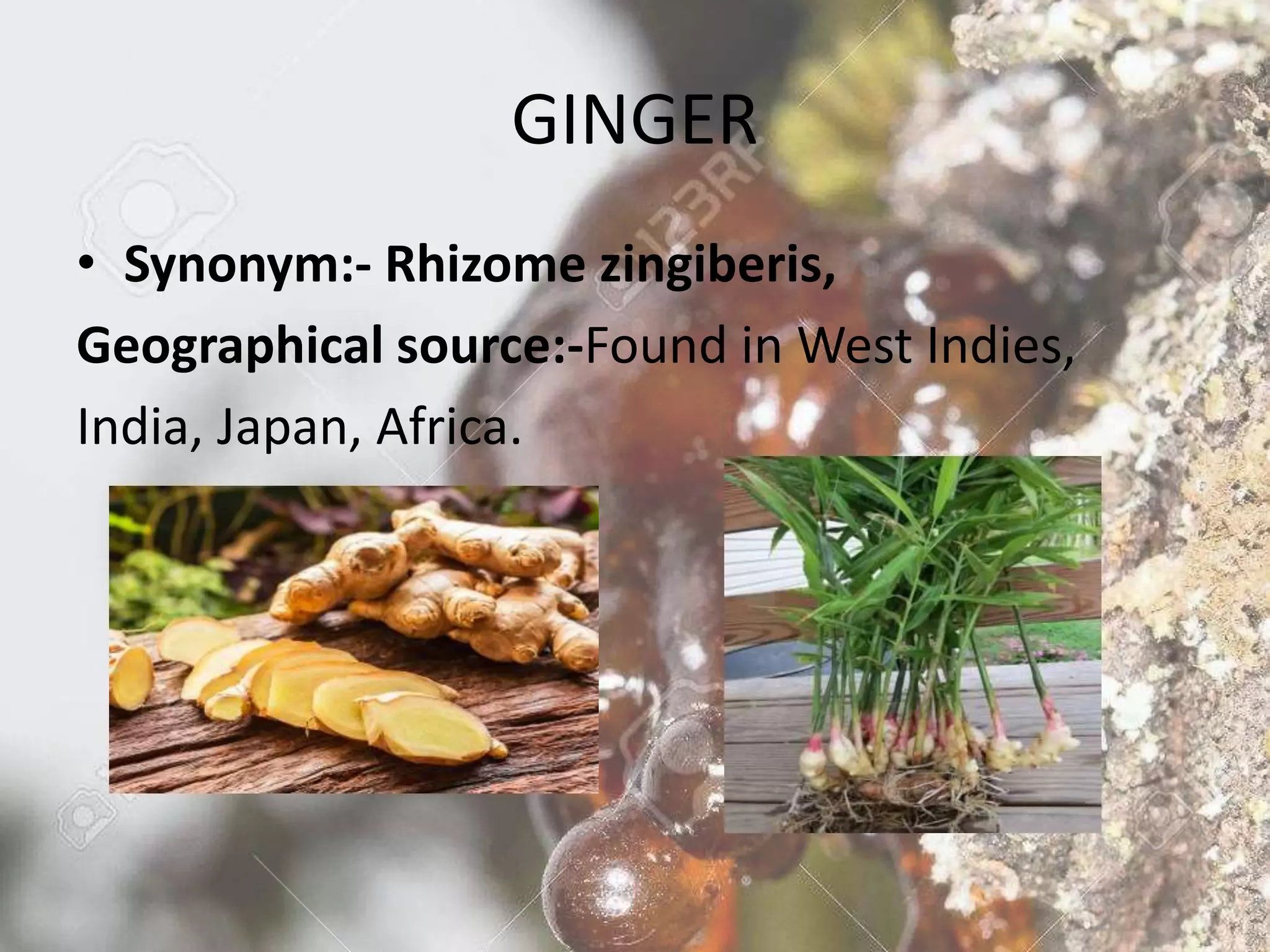 Resin and his combination | PPTX