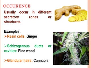 Resin containing drug | PDF