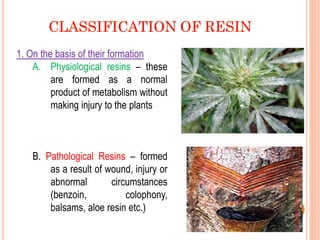 Resin containing drug | PDF