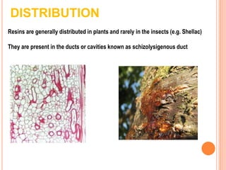 Resin containing drug | PDF
