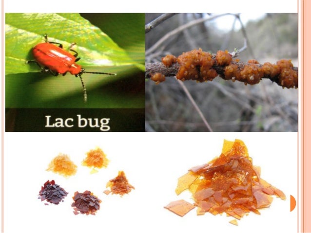 Resin containing drug