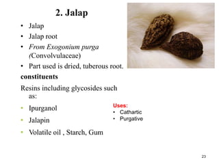 RESINES.ppt | Skin Care | Beauty