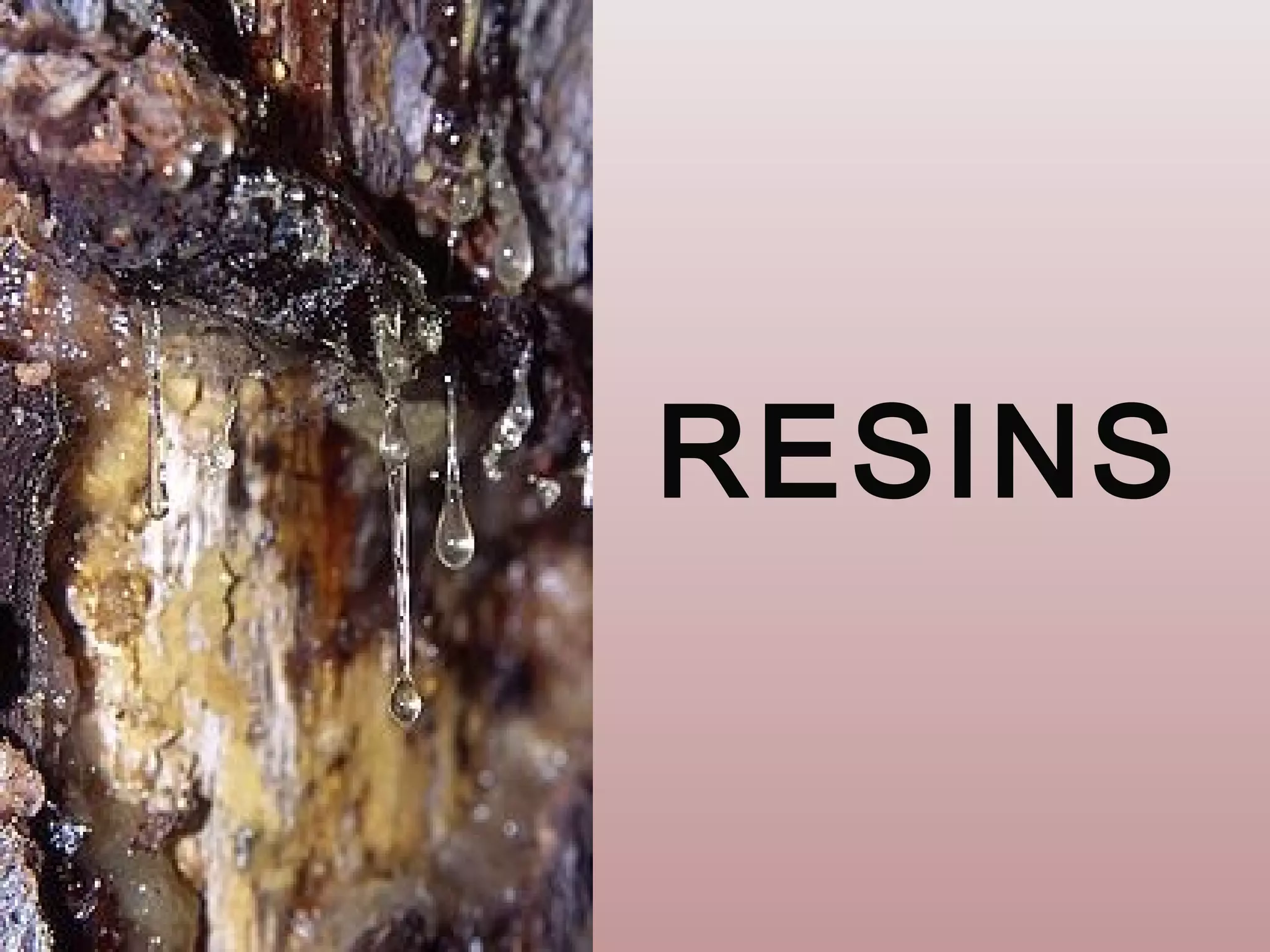 Resins | PPT