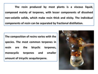 RESINS | PPTX