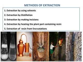RESINS | PPTX