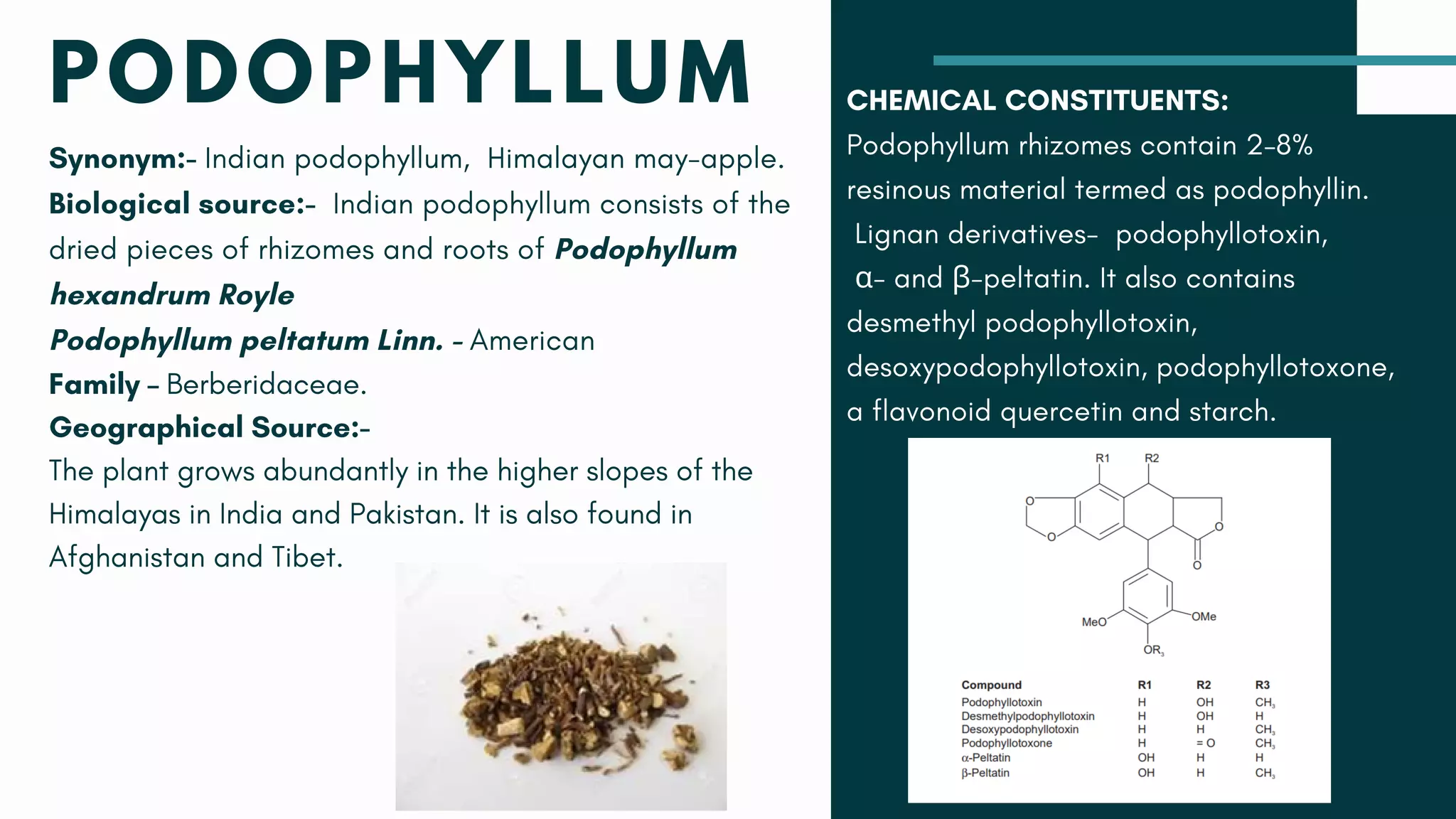 Resins Pharmacognosy & Phytochemistry II | PDF