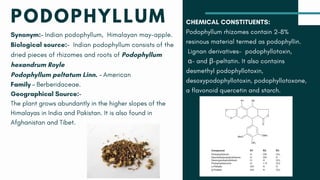 Resins Pharmacognosy & Phytochemistry II | PDF