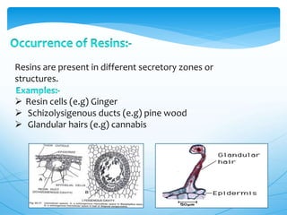 Resins and oleoresins | PPTX