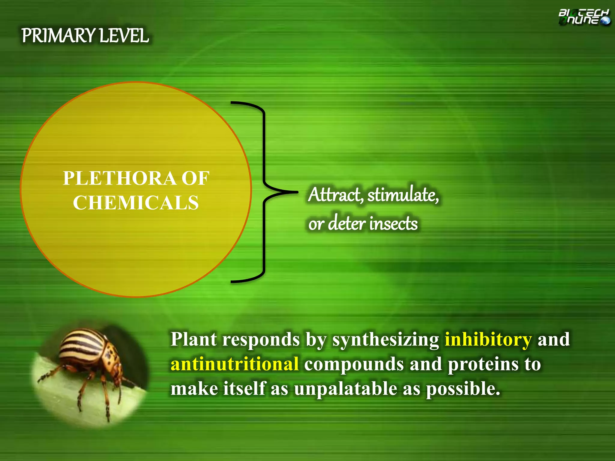 Genetic Engineering and Resistance to Insects | PPT