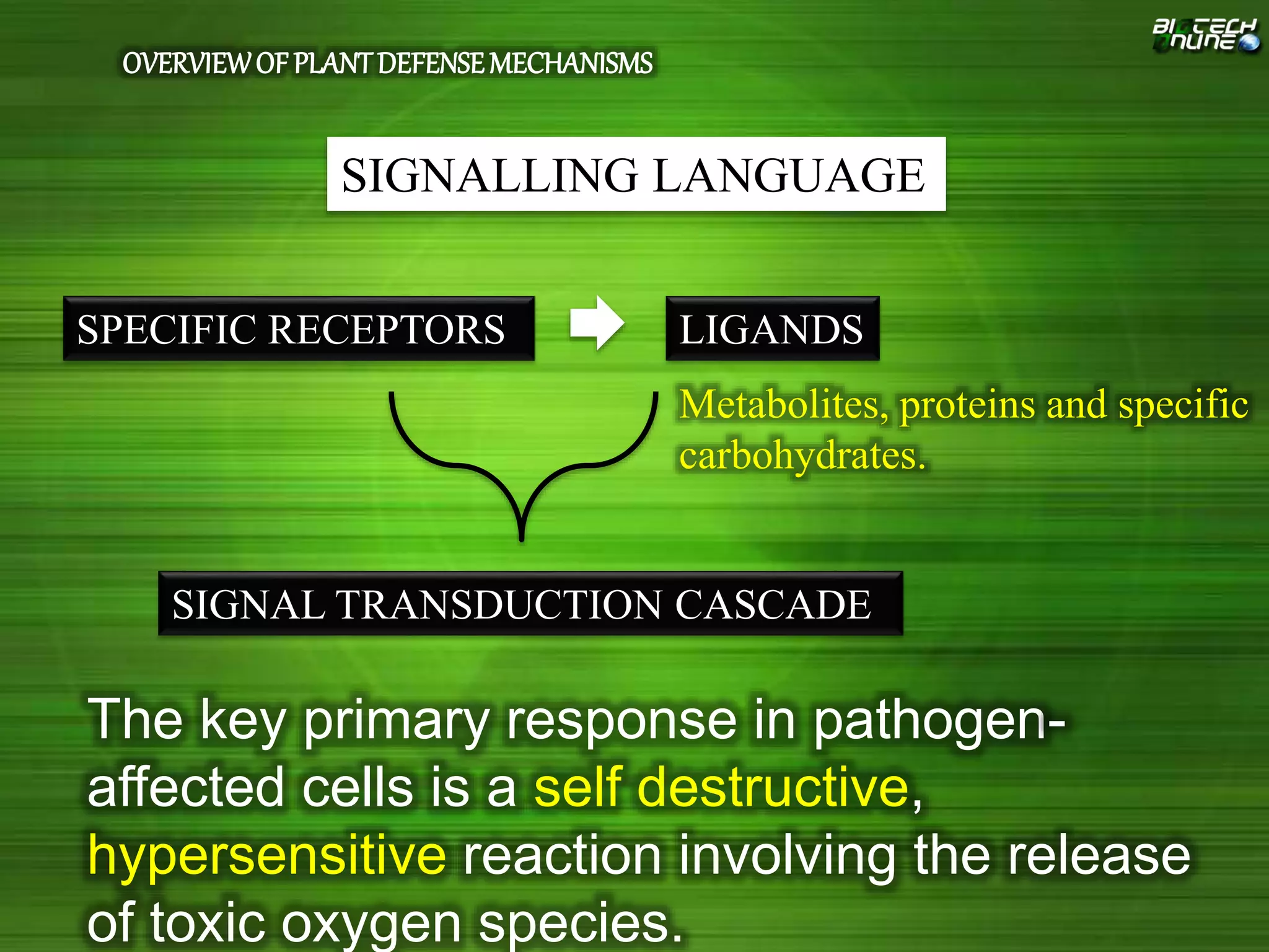 Genetic Engineering and Resistance to Insects | PPT