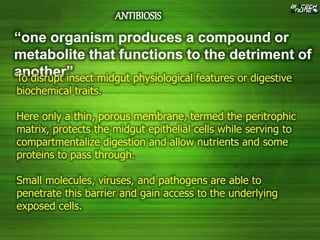 Genetic Engineering and Resistance to Insects | PPT