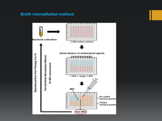 Antimicrobial susceptibility testing | PPTX