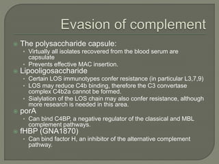 Resistance of Host Immune Mechanisms by Neisseria Meningitidis | PPT