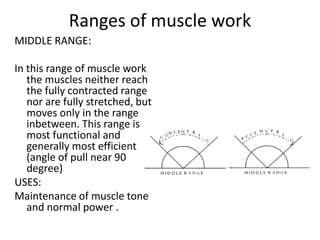 Resistance exercises | PPTX