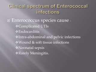 Resistance in enterococci | PPTX