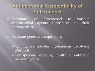 Resistance in enterococci | PPTX