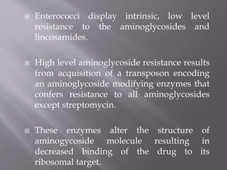 Resistance in enterococci | PPTX