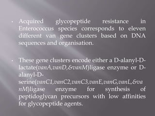 Resistance in enterococci | PPTX