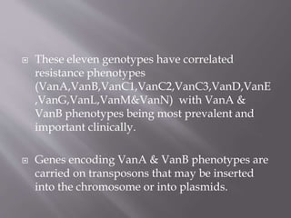 Resistance in enterococci | PPTX