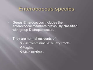 Resistance in enterococci | PPTX