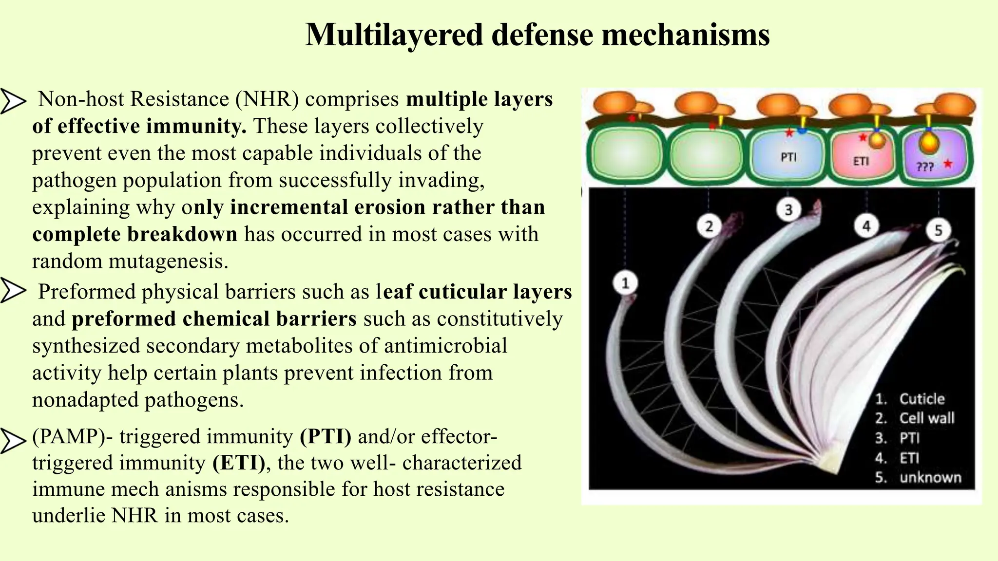 Disease Resistance in plants : Detailed insights on Plant- Pathogen ...