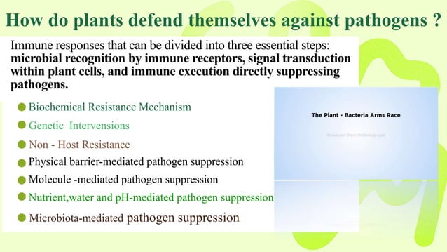 Disease Resistance in plants : Detailed insights on Plant- Pathogen ...