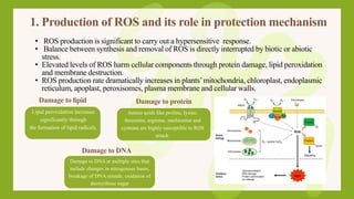 Disease Resistance in plants : Detailed insights on Plant- Pathogen ...