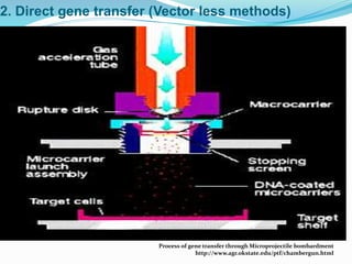Resistance Management Strategies in transgenic crops.pptx