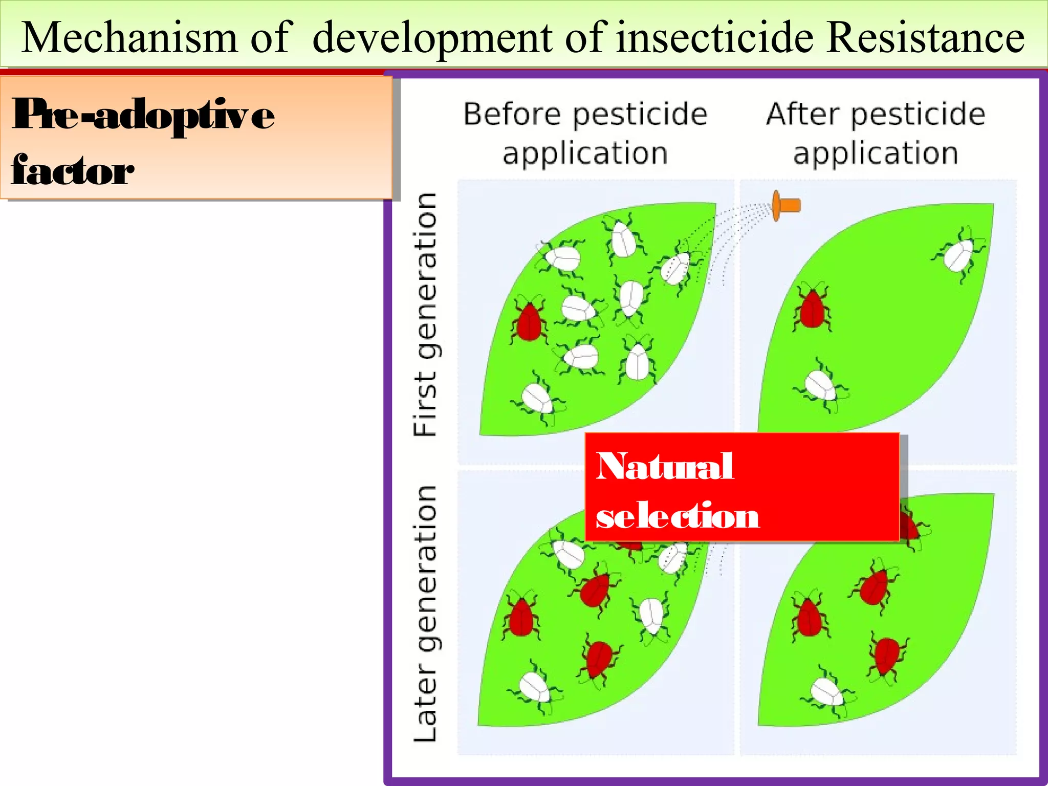 INSECTICIDE RESISTANCE MANAGEMENT STRATEGY-NAIK | PPT