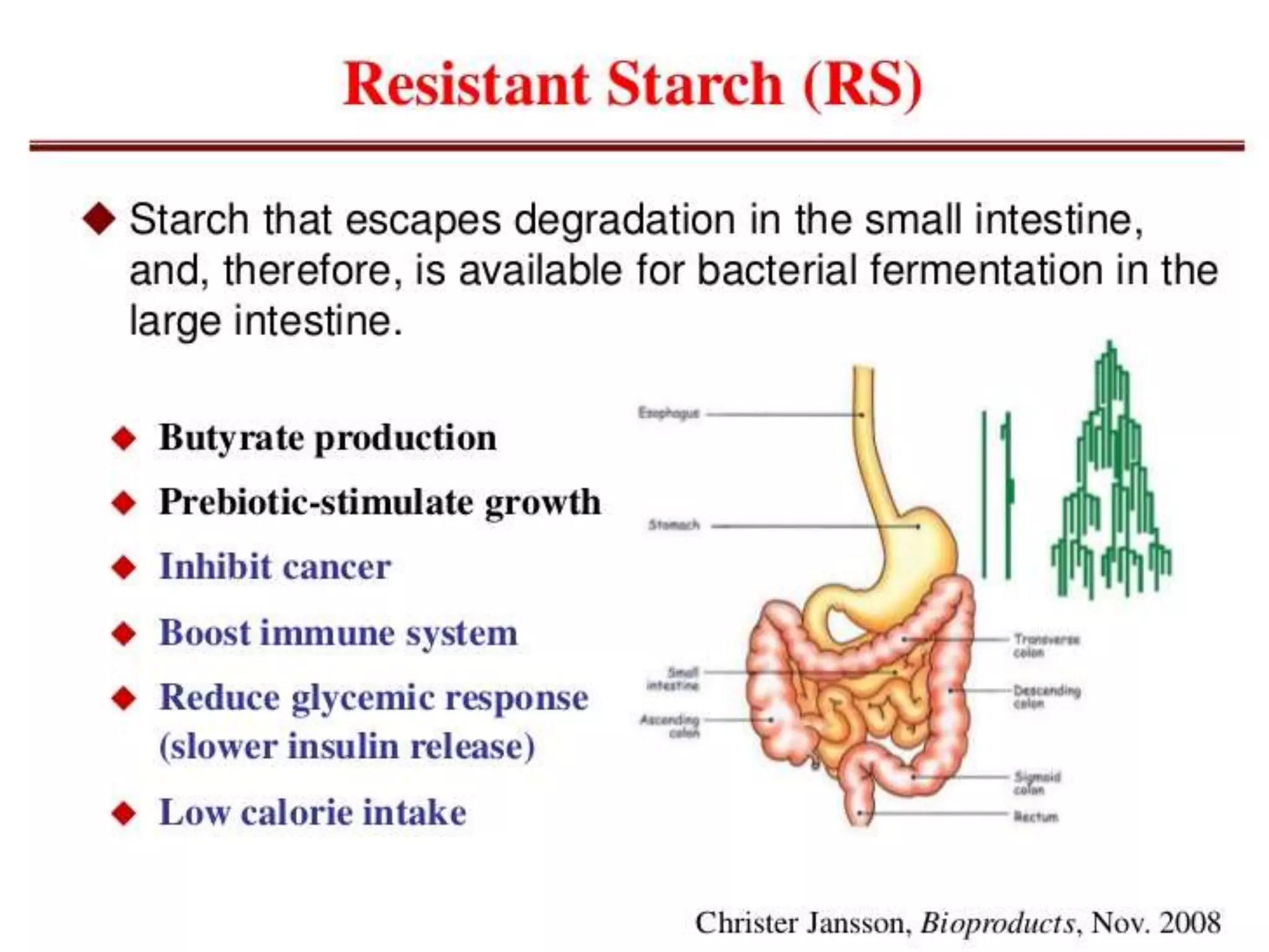 Resistance starch presentation | PPTX