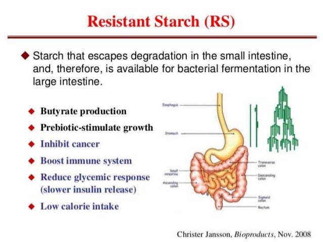 Resistance starch presentation