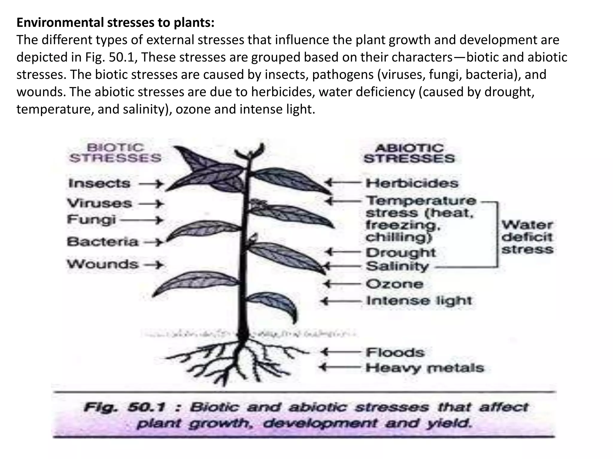 Resistance to biotic stresses | PPTX