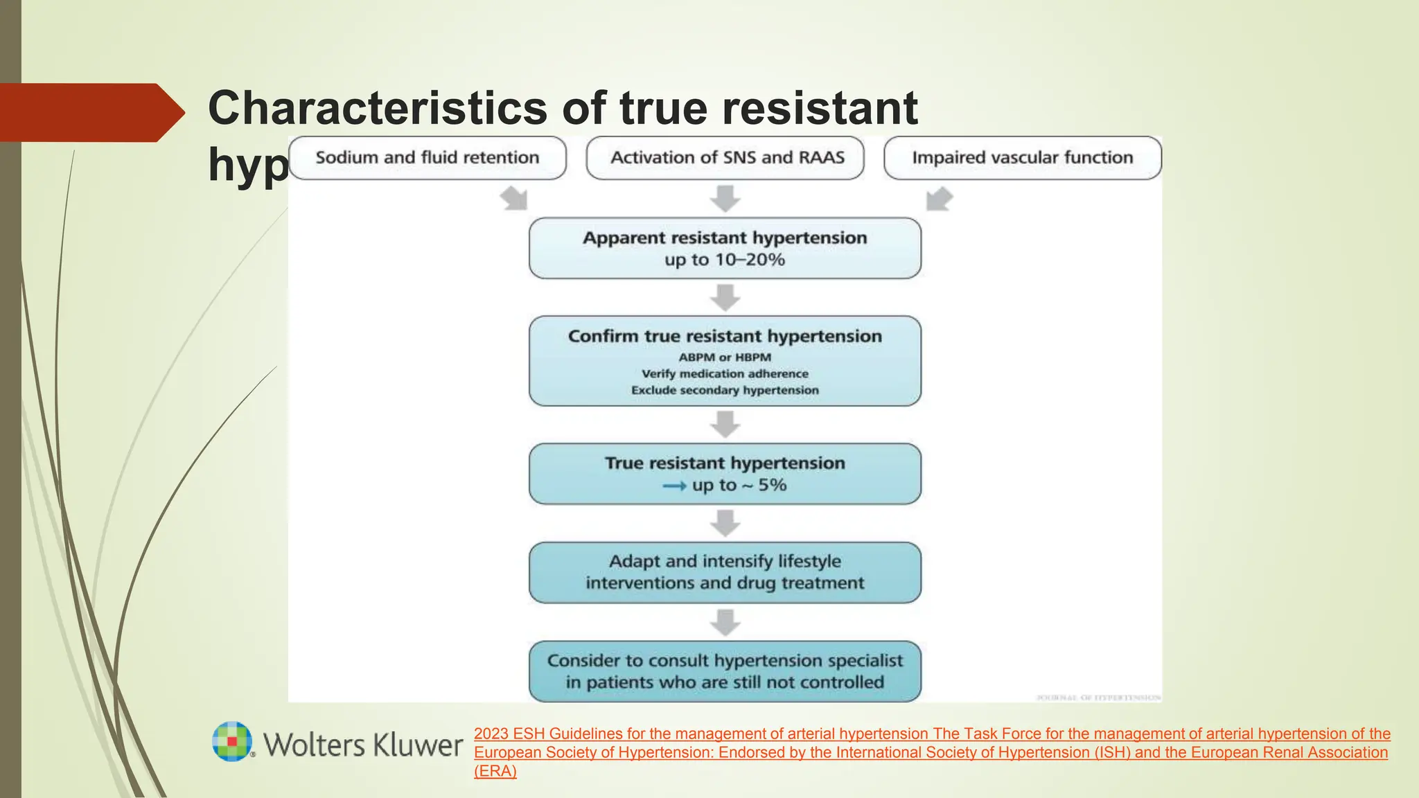 Resistant Hypertension Management. 2024pptx | PPTX